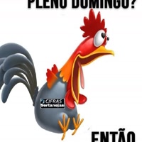 Reinaldo.Rosa (@Reinaldo.Rosa) on Kwai