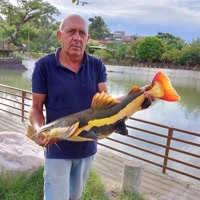 Ivanilson chôla (@Cholapesquepague) on Kwai