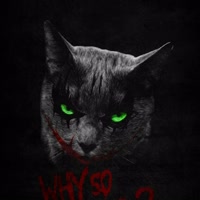 ASTRO.EXE 2.0 (@qioqs) on Kwai