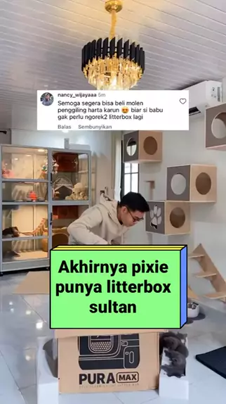 file.catbox.moe | Discover