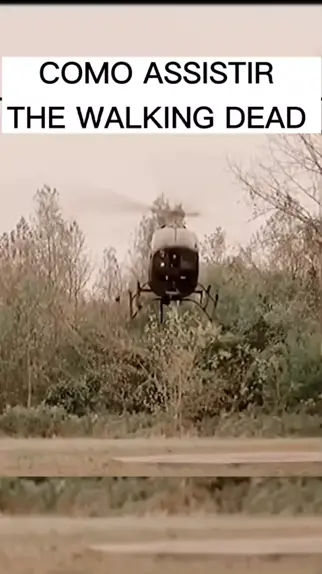 the walking dead 11 temporada assistir completo dublado gratis | Discover