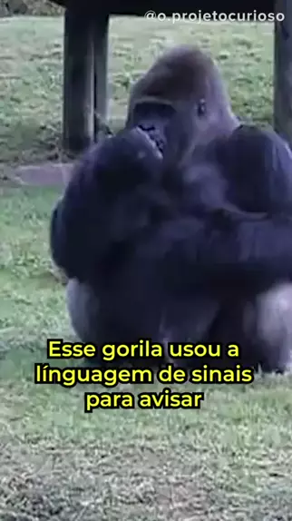 escolha o diagrama que melhor representa a relação entre os grupos ... escolha o diagrama que melhor representa a relação entre os grupos ...