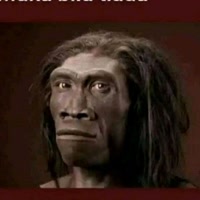 Memeksiana life+legit