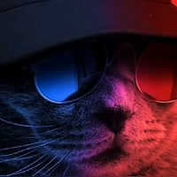 Max_enzo (@wexrl731) on Kwai