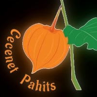 Cecenet pahits (@cecenetpahits) on SnackVideo