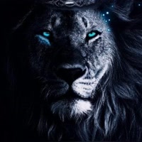 lion Scott Kennedy 05 (@hsmtm472) on Kwai