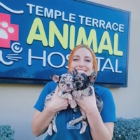 Temple Terrace Animal Hospital (@TempleTerraceA) o ...| Kwai