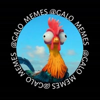 ＠GALO_MEMES OFC🐓 edits (@GALO_MEMES) on Kwai