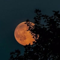 Arquetipos da mãe lua (@Arque.tipos) on Kwai