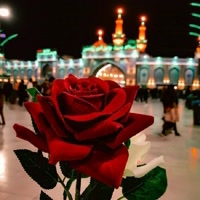 princess sadaf. 34 (@princess_sadaf) on SnackVideo