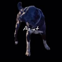 AZIAT (@azjat) on Kwai