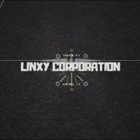 Linxy Corporation (@linxy.corporation) on SnackVid ...| SnackVideo