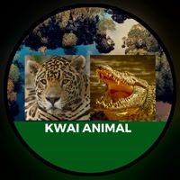 KWAI ANIMAL 🦁 (@Useranimal) on Kwai