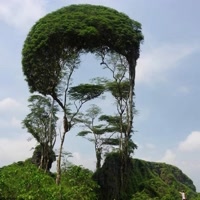 #🇮🇩H🏍️M🇮🇩# (@MALAUBAN) on SnackVideo