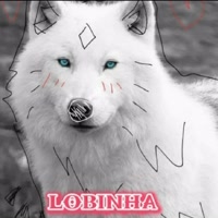 《lobinha therian quadrobics🌟dragons (@therianlobi ...| Kwai