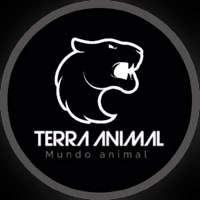 Terra Animal (@TerraAnimal) on Kwai