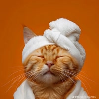 Tech Rizz (@Techrizz) on SnackVideo