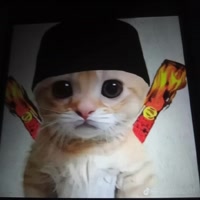 Haidar aziz (@umccx146) on SnackVideo