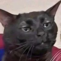 Avante 👊😮 (@Anna_pires) on Kwai