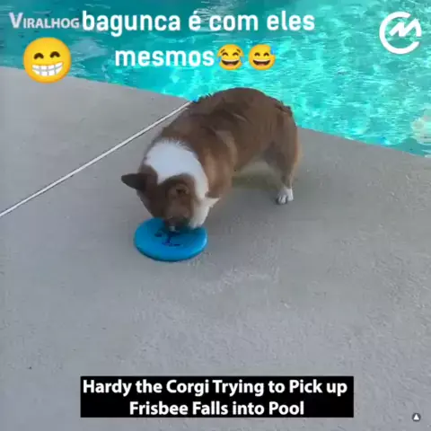 fripick.com | Discover