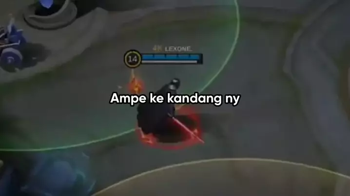 layla jenner race | Discover