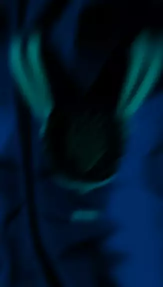 beat banger apk & where to download beat banger mo ...| Kwai