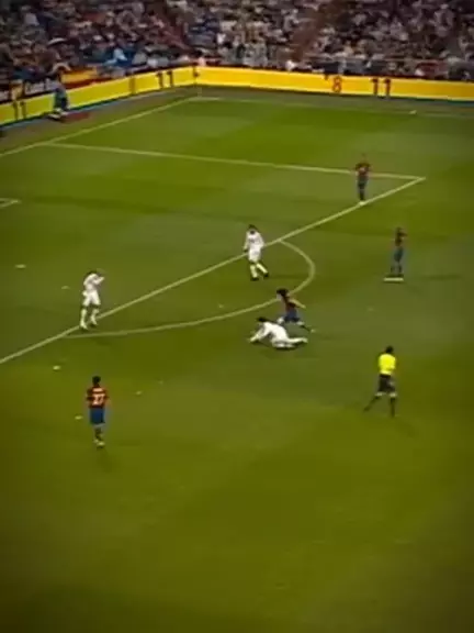 pepe looking at sunset | Discover