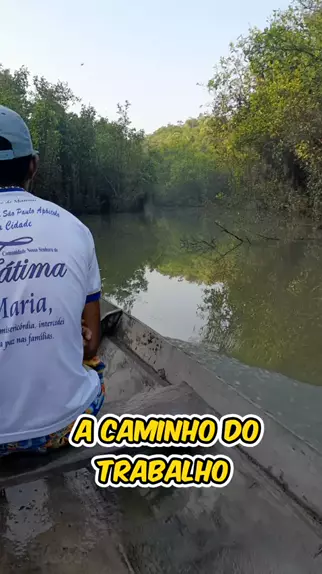 innocams.al | Discover