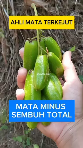 guli mata wikipedia | Discover