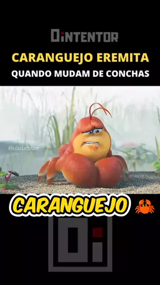 Caranguejo Eremita: A Busca pela Concha