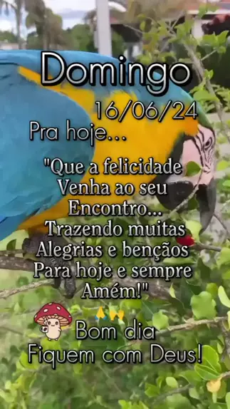 #bomdia #domingou #felizdomingo #MensagemdeBomdia ...| Kwai
