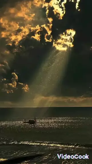 the beautiful shub | Discover