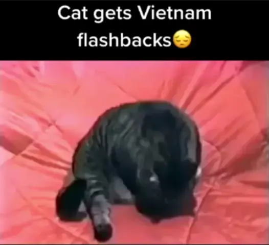 vietnam.flashbacks meme | Discover