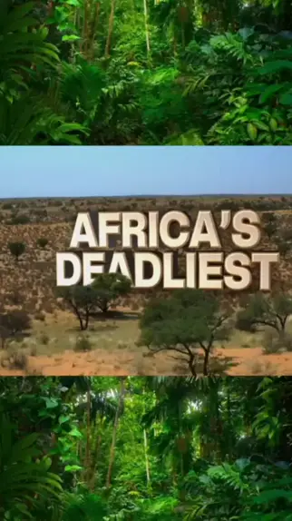 mangue 937 video asli | Discover