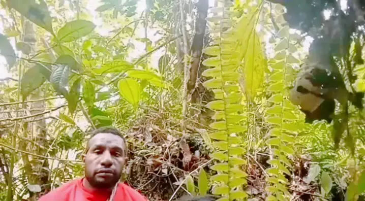 mau ngapain thu #padi #sawah #Poringface #emot