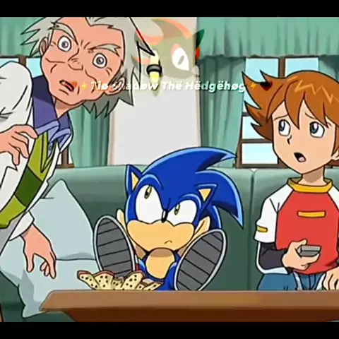 Shadow The Hedgehog Llorando Sonic X