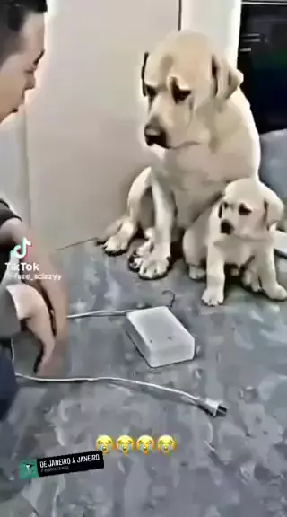 jane caron porn & onlyfans free kelly jane caron| ...| Kwai