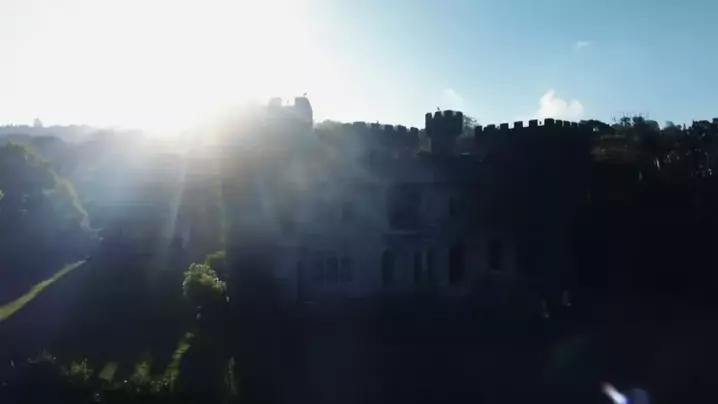 Witness the Funk (WTF) - Ngwenya Town (OFFICIAL MUSIC VIDEO)