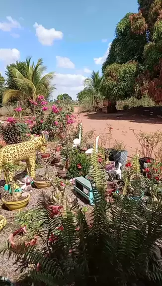 seleny mira photos | Discover