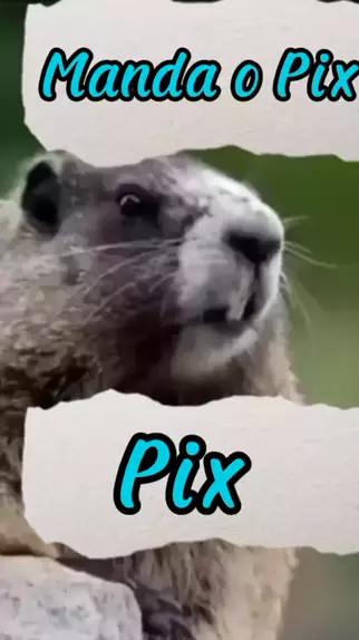 figurinha e o pix nada ainda & memes de pix para w ...| Kwai