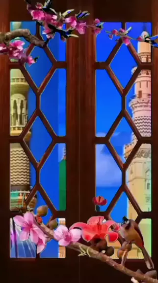 my love liar | Discover