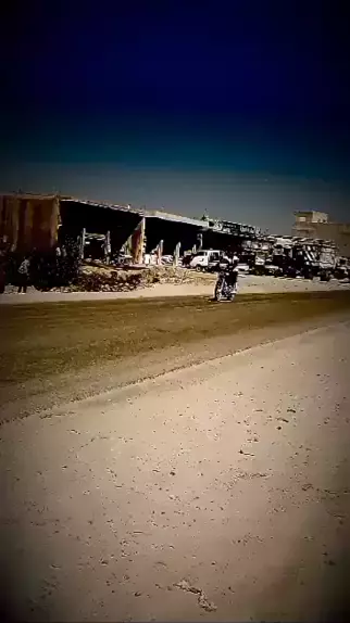 @tally berry | Discover