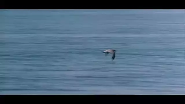 Soniye [Full Song] Aksar