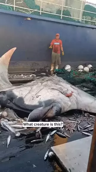 what is the rake creature | Discover