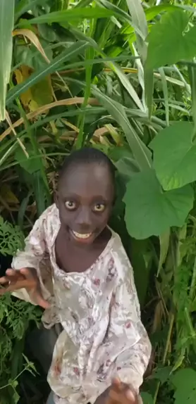 tengue tengue & menino do tenge tenge| Discover