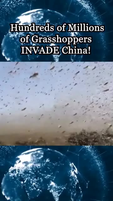 Chinese Trampling Discover