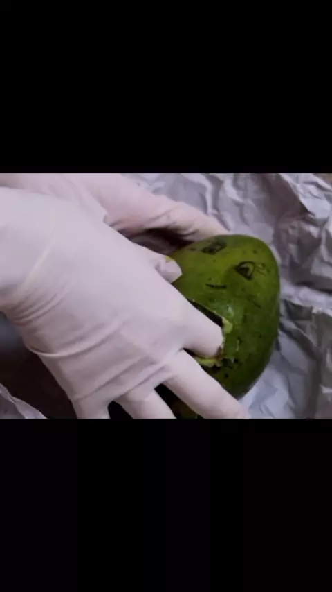 catori asmr face reveal & macoto asmr face reveal| ...| Kwai