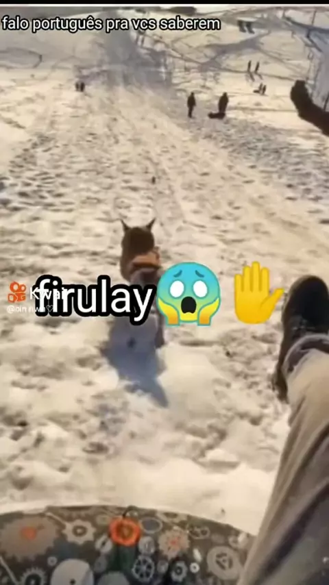 meme perro pero neta wey