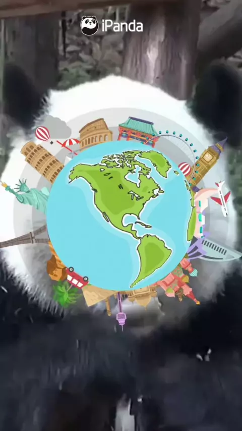 baby panda andini twitter & babypanda andini bokep ...| Kwai